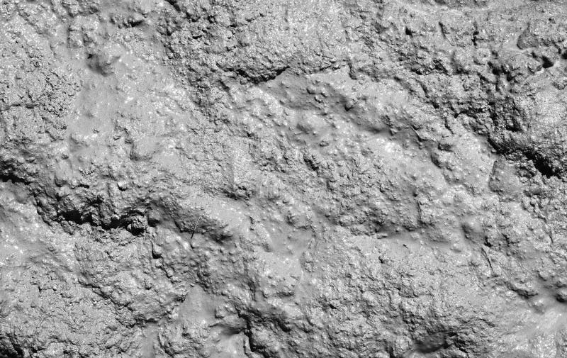 Mud Texture or Wet Gray Soil Stock Photo - Image of dirt, contaminated ...