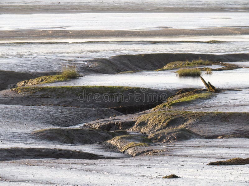 Mud on Tidal Mudflats, Low Tide in Devon, England. Stock Image - Image ...