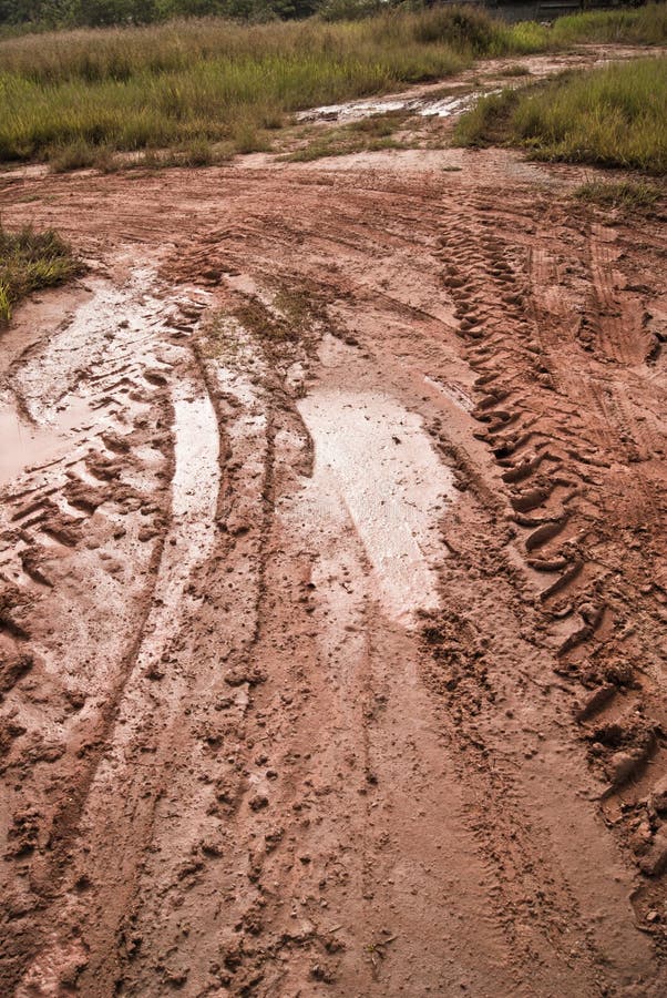 Mud and tire tracks stock photo. Image of pasture, rain - 35000198