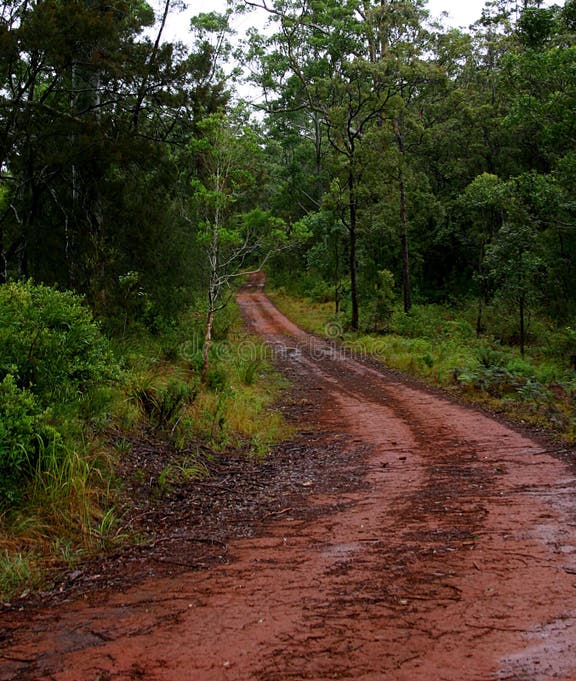 Mud Track stock photo. Image of landscape, trees, tyremarks - 167686
