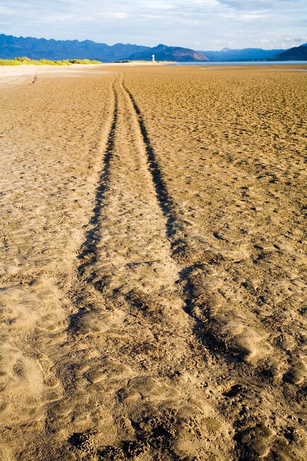 Mud Tracks Picture. Image: 1312173