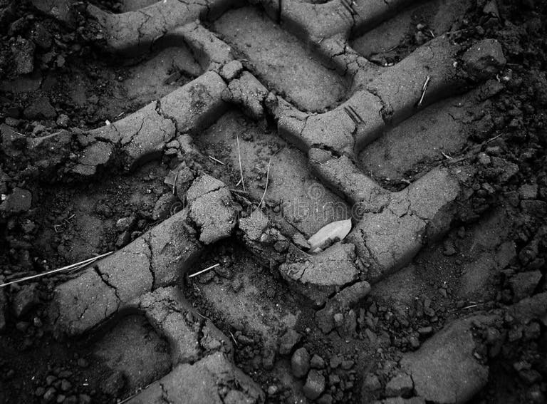 Mud Tracks stock image. Image of broken, cracked, tire - 2758301