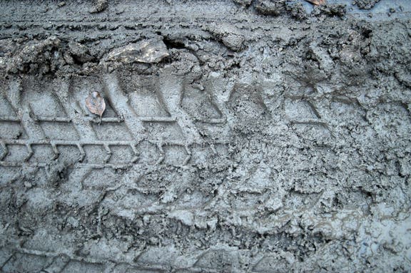 8,732 Mud Tracks Stock Photos - Free & Royalty-Free Stock Photos from ...