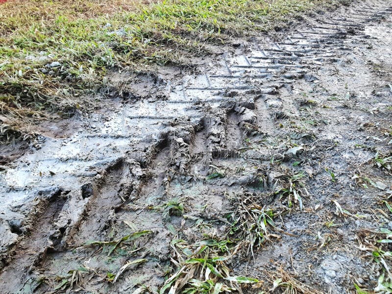 Mud tracks in the field stock image. Image of nature - 367659093