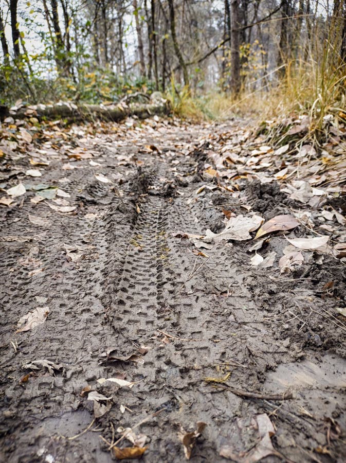 Mud Tracks on a Mountain Bike Trail Stock Image - Image of landscape ...