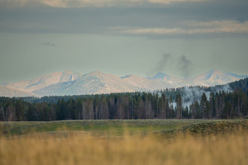 Mud Volcano Area Billows Steams at the Edge of Hayden Valley Stock ...
