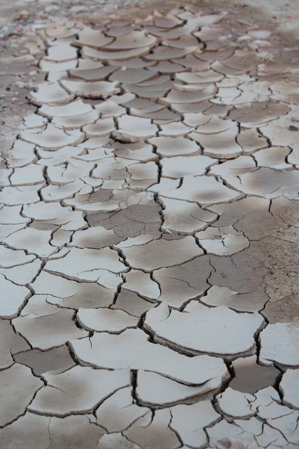 104 Mudcracks Stock Photos - Free & Royalty-Free Stock Photos from ...