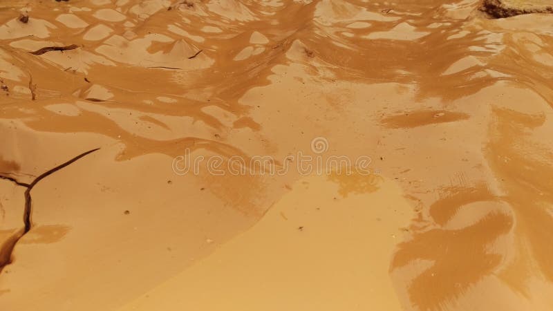 Mudd soil with water stock photo. Image of food, yellow - 183714412