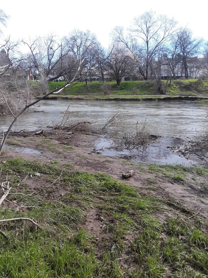 Muddy Banks & a Flooded Channel Stock Photo - Image of water, muddy ...