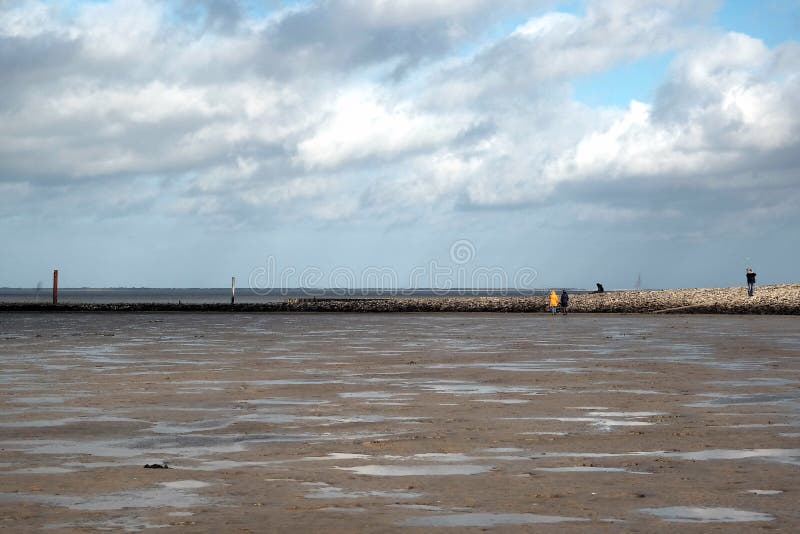 Muddy Beach Captured during the Daytime Stock Image - Image of summer ...