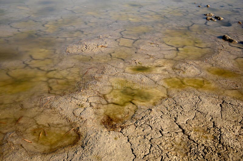 Muddy Bottom of the River with Cracks. in the Recesses of Colored Ice ...
