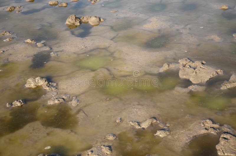 Muddy Bottom of the River with Cracks. in the Recesses of Colored Ice ...