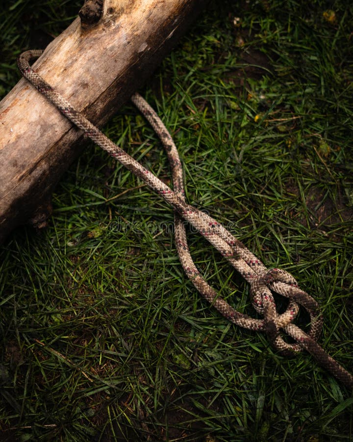 Muddy Bowline Knot Around Log Stock Photo - Image of camping, knot ...