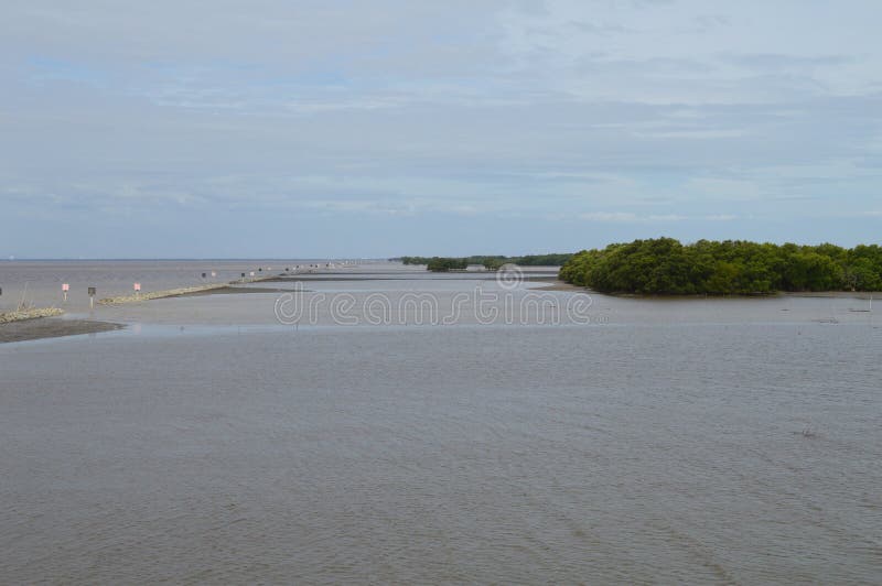 Muddy Coast Near the Mangrove Forest Stock Image - Image of river ...