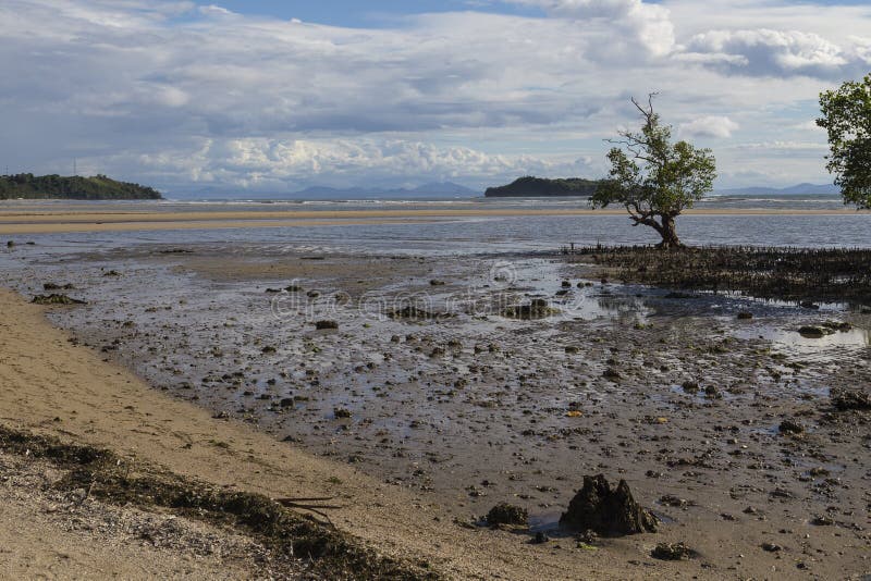 Muddy Coastal Beach Landscape Stock Photo - Image of muddy, water: 65263036
