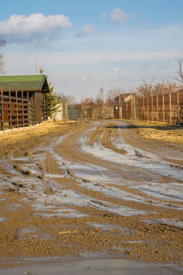Muddy Dirt Road - Low Angle Portrait Image Editorial Stock Photo ...