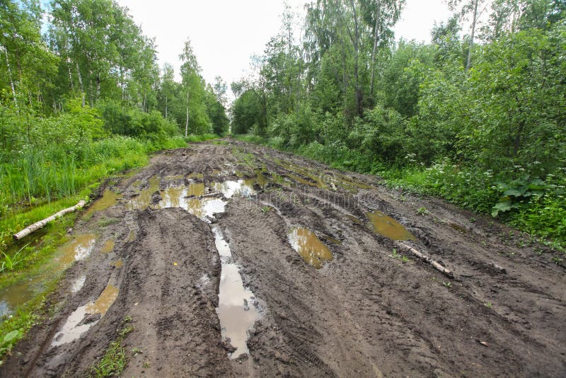 Muddy Dirty Road through Forest with Puddles Stock Photo - Image of ...