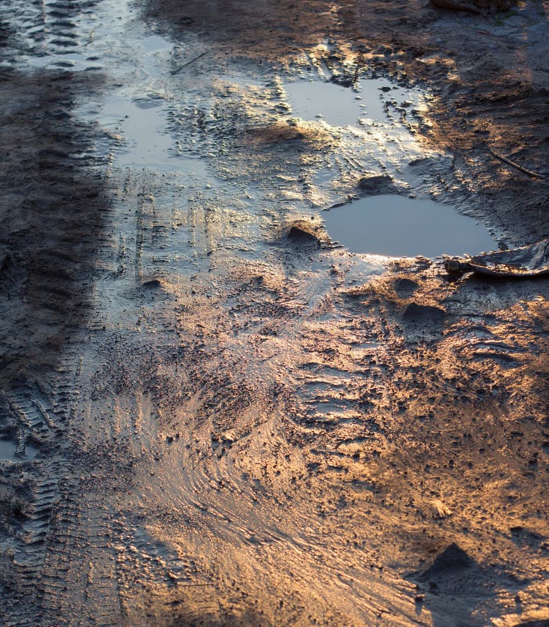 Muddy dirty road stock photo. Image of tracks, sunlight - 54114496