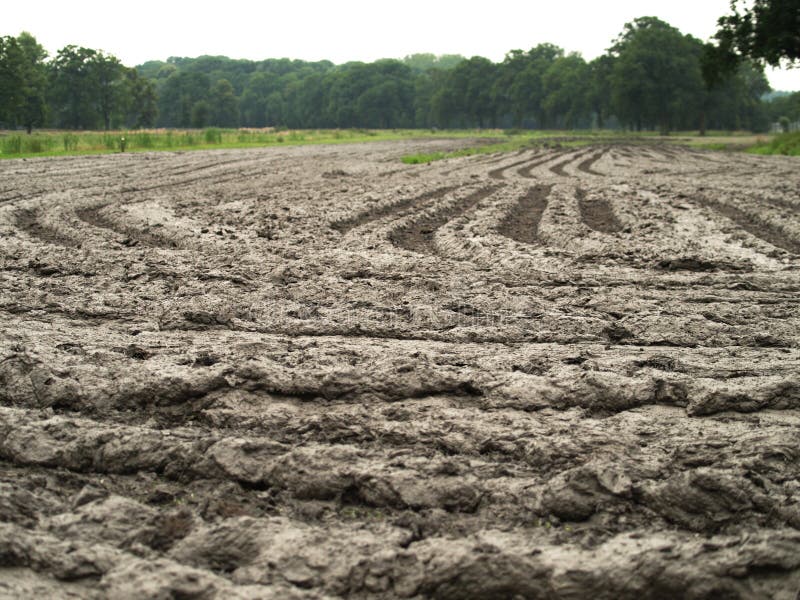 Muddy farm field stock photo. Image of corner, tractor - 19948888