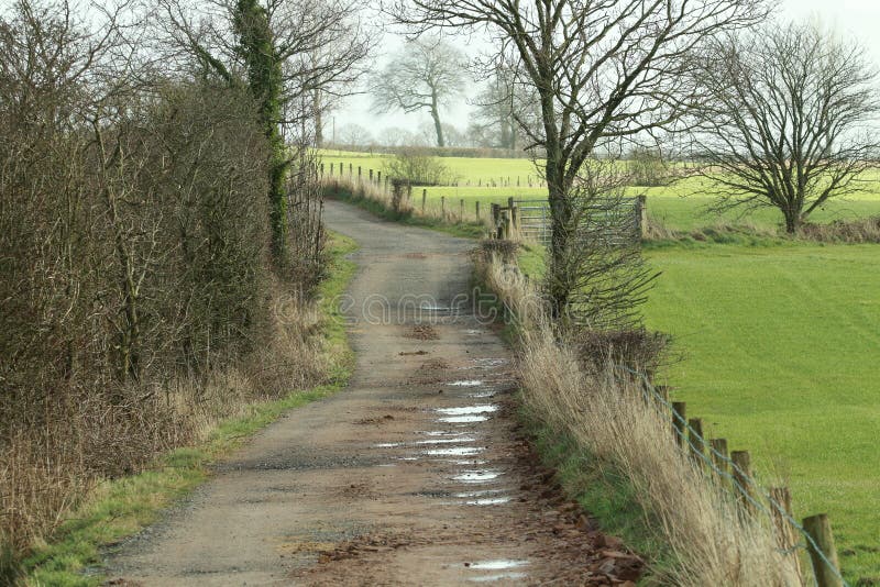 Muddy farm track stock photo. Image of walking, road - 242349562