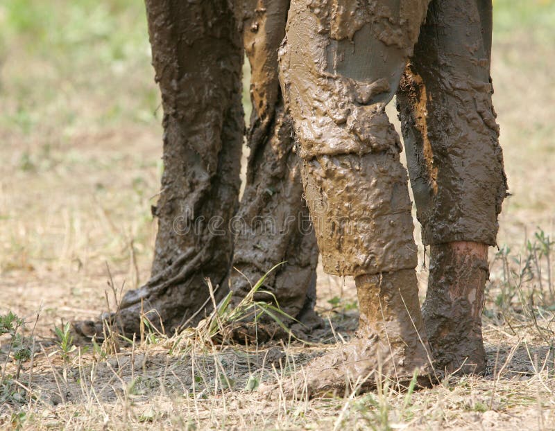 Muddy feet stock photo. Image of grime, field, competition - 423994