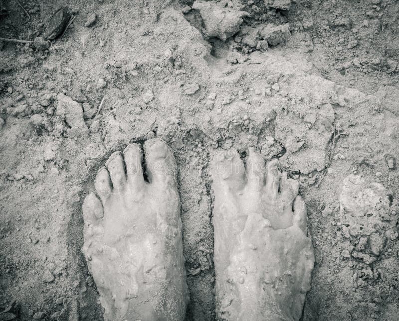 Muddy Foot Feet stock photo. Image of toes, muddy, picking - 2450292
