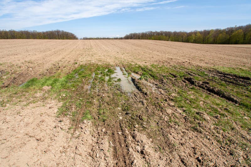 Muddy field stock photo. Image of field, lawn, muddy - 54683514