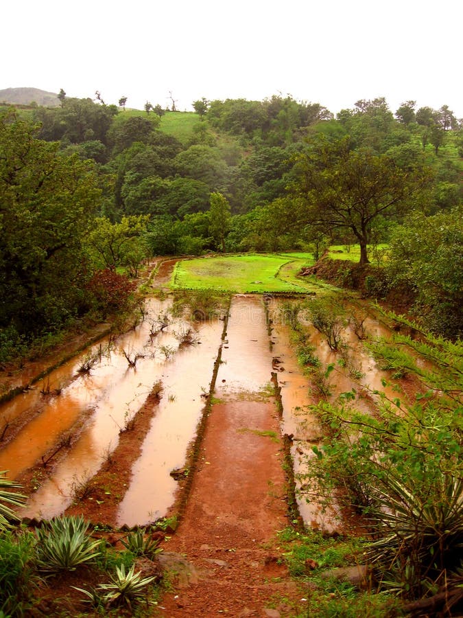 Flooded Muddy Hillside Stock Photos - Free & Royalty-Free Stock Photos ...