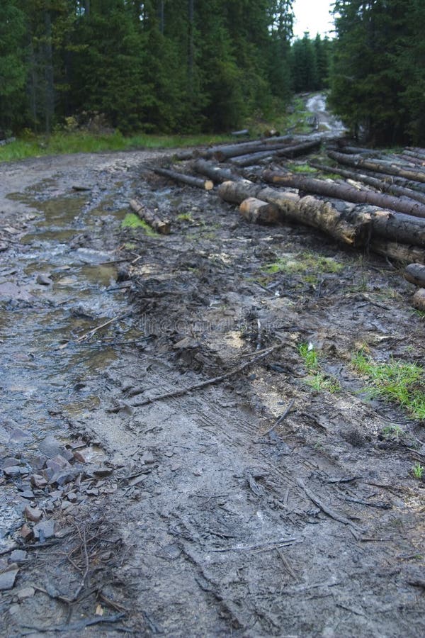 Muddy Forest Road in Autumn in Ravine Stock Photo - Image of trip ...