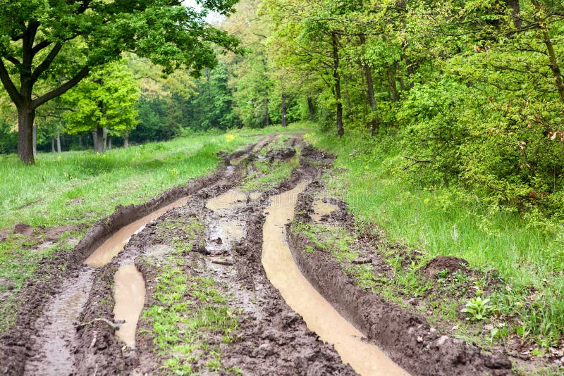 Muddy forest road stock image. Image of lumber, environment - 3842771