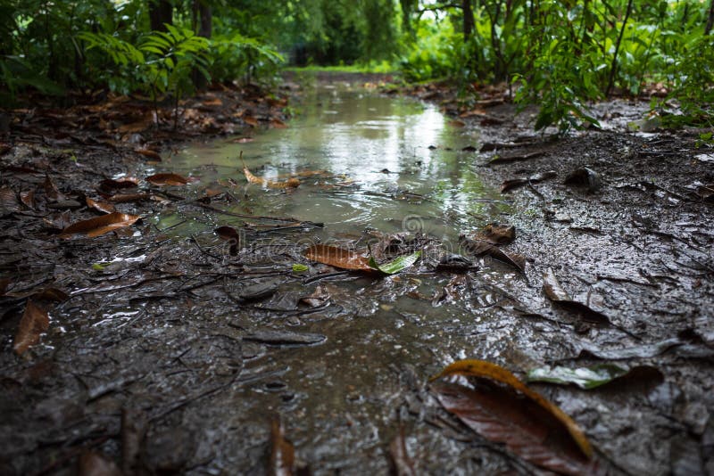 Muddy Ground with Small Puddle after Rain Stock Photo - Image of ...