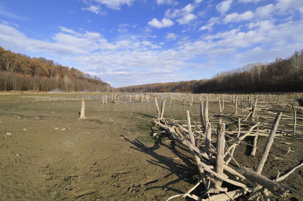 Muddy lake coast stock photo. Image of blue, daylight - 22469168