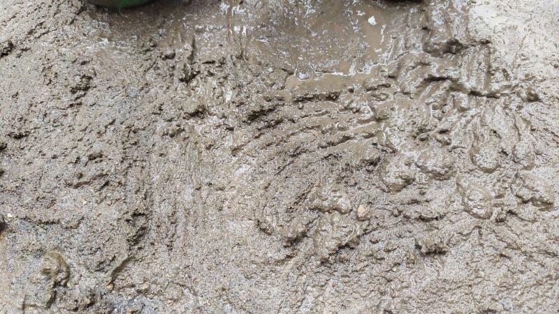 A Muddy Mixture of Soil and Water Stock Image - Image of dirty, muddy ...