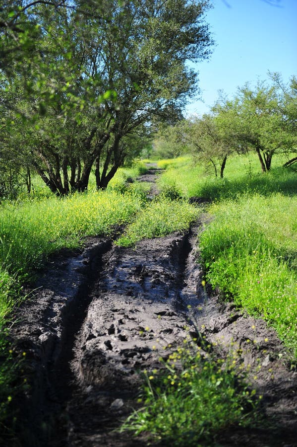5,619 Woodland Path Rain Stock Photos - Free & Royalty-Free Stock ...