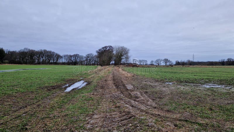 Muddy Path through an Open Field Stock Photo - Image of natural ...