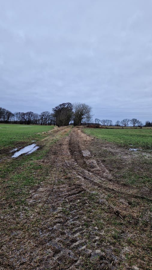 Muddy Path through Open Field Under Cloudy Sky Stock Image - Image of ...