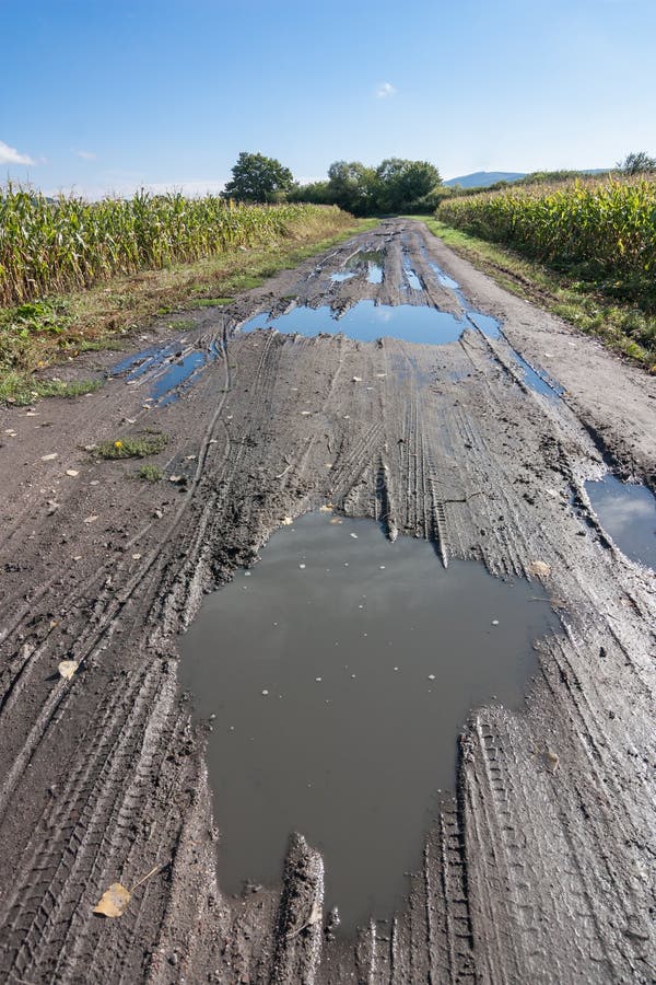 Muddy path stock photo. Image of dramatic, storm, empty - 33870520