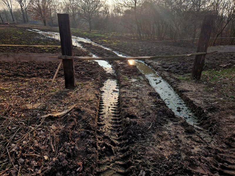 Muddy Paddocks Stock Photos - Free & Royalty-Free Stock Photos from ...