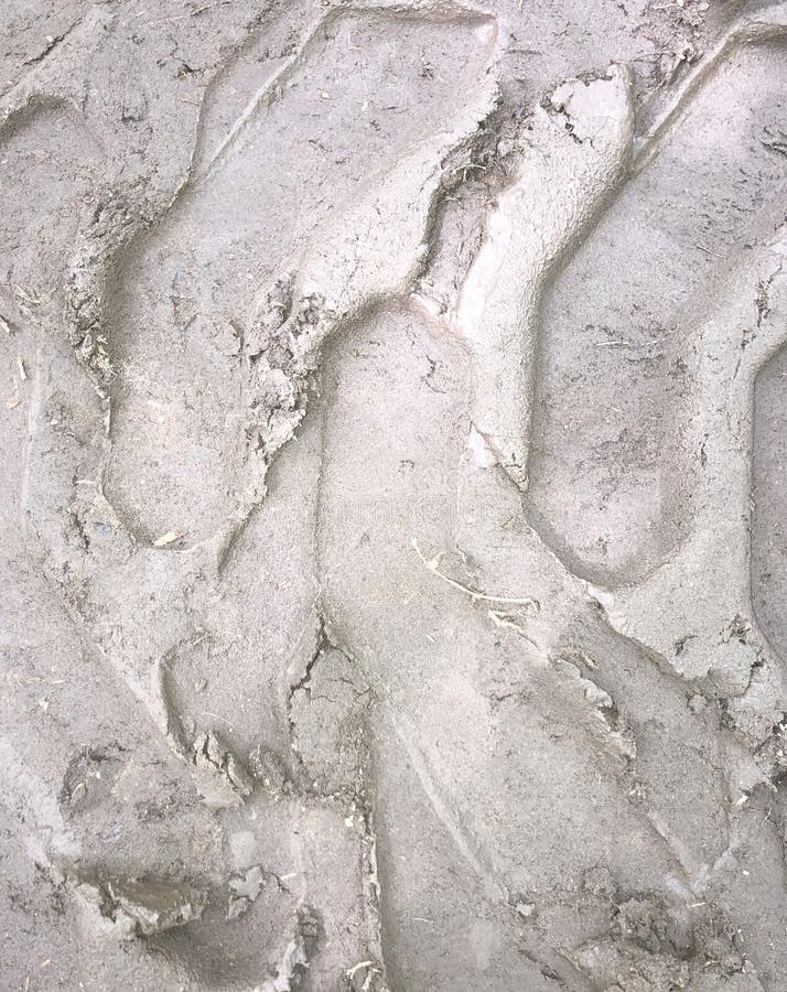 Muddy Pathway Grey Texturing Abstracting Background Footprints Patterns ...