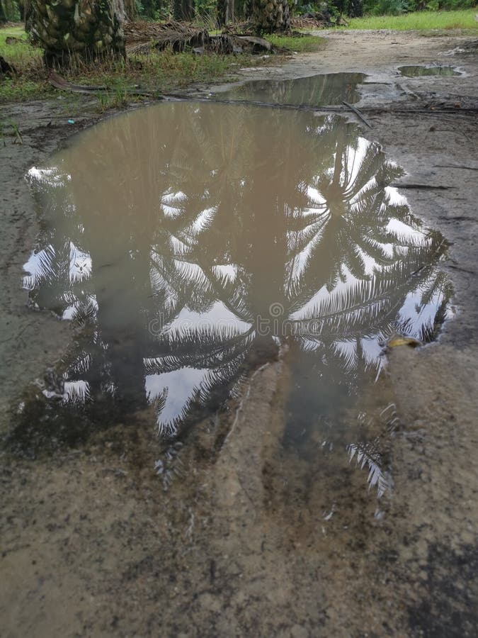 Muddy Pool of Water Collected on the Sandy Ground Stock Image - Image ...