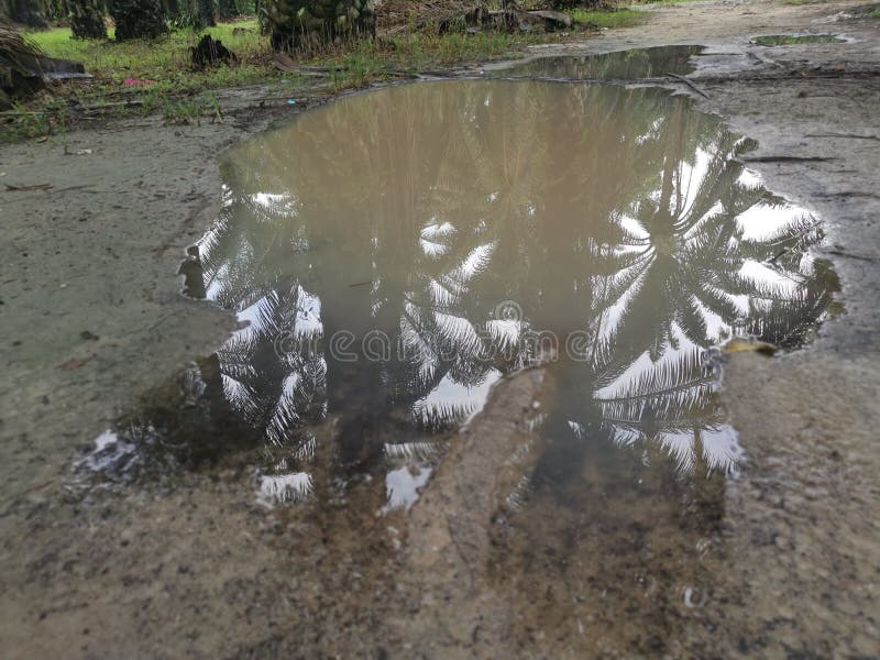Muddy Pool of Water Collected on the Sandy Ground Stock Image - Image ...