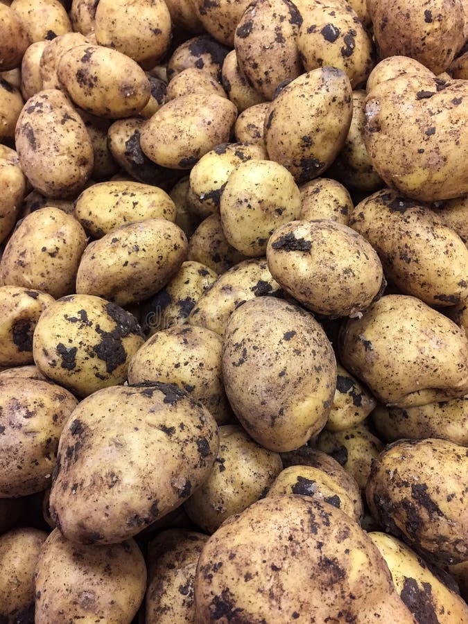 299 Muddy Potato Stock Photos - Free & Royalty-Free Stock Photos from ...