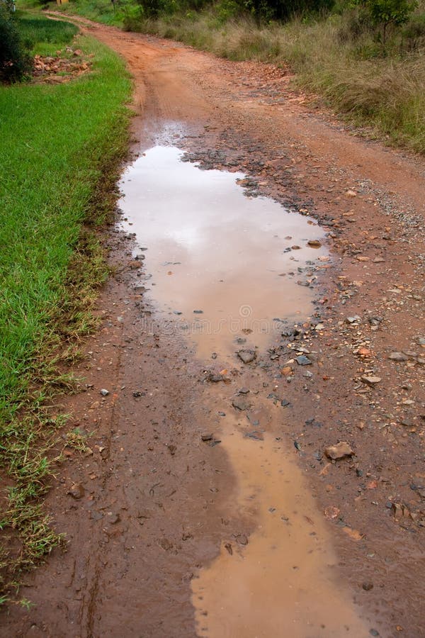 Muddy Puddle in Savernake Forest Stock Image - Image of puddle, oldest ...