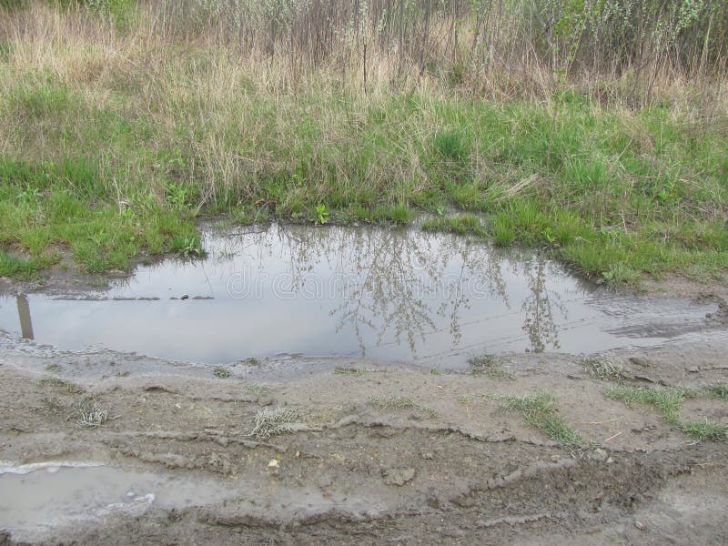 Muddy puddle in grass stock photo. Image of rain, offroad - 201253162