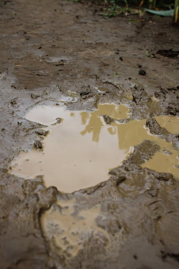 Muddy Puddle in the Middle of a Field Reflection on Water Stock Photo ...