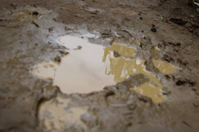 Muddy Puddle in the Middle of a Field Reflection on Water Stock Image ...
