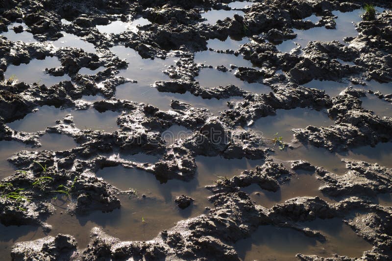 Puddle and Mud Texture, Abstract Background Stock Image - Image of ...