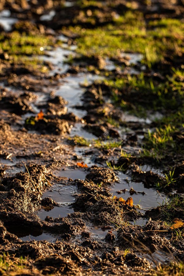 2,763 Wet Muddy Field Track Stock Photos - Free & Royalty-Free Stock ...
