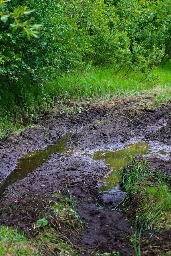 A Muddy Quadding Trail in Spring Stock Image - Image of outdoors ...