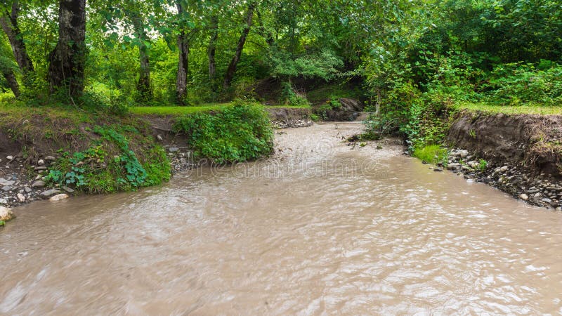 Muddy River in the Forest after Rains Stock Photo - Image of disaster ...